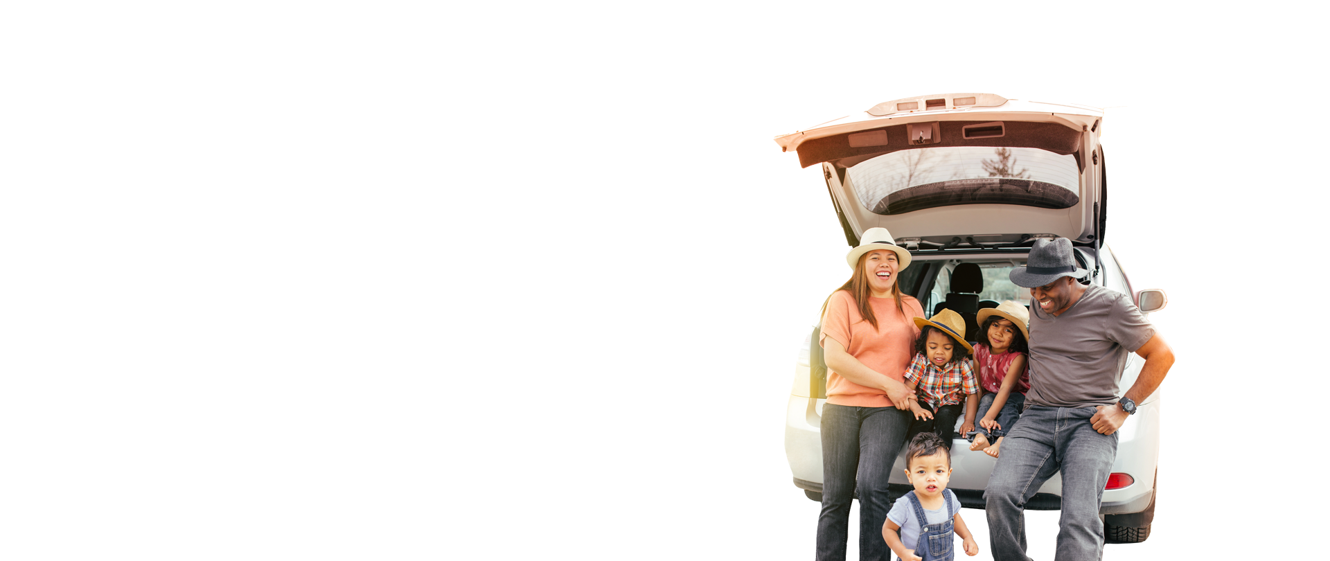 Affordable Auto Insurance Coverage for Every Budget | Fred Loya Insurance